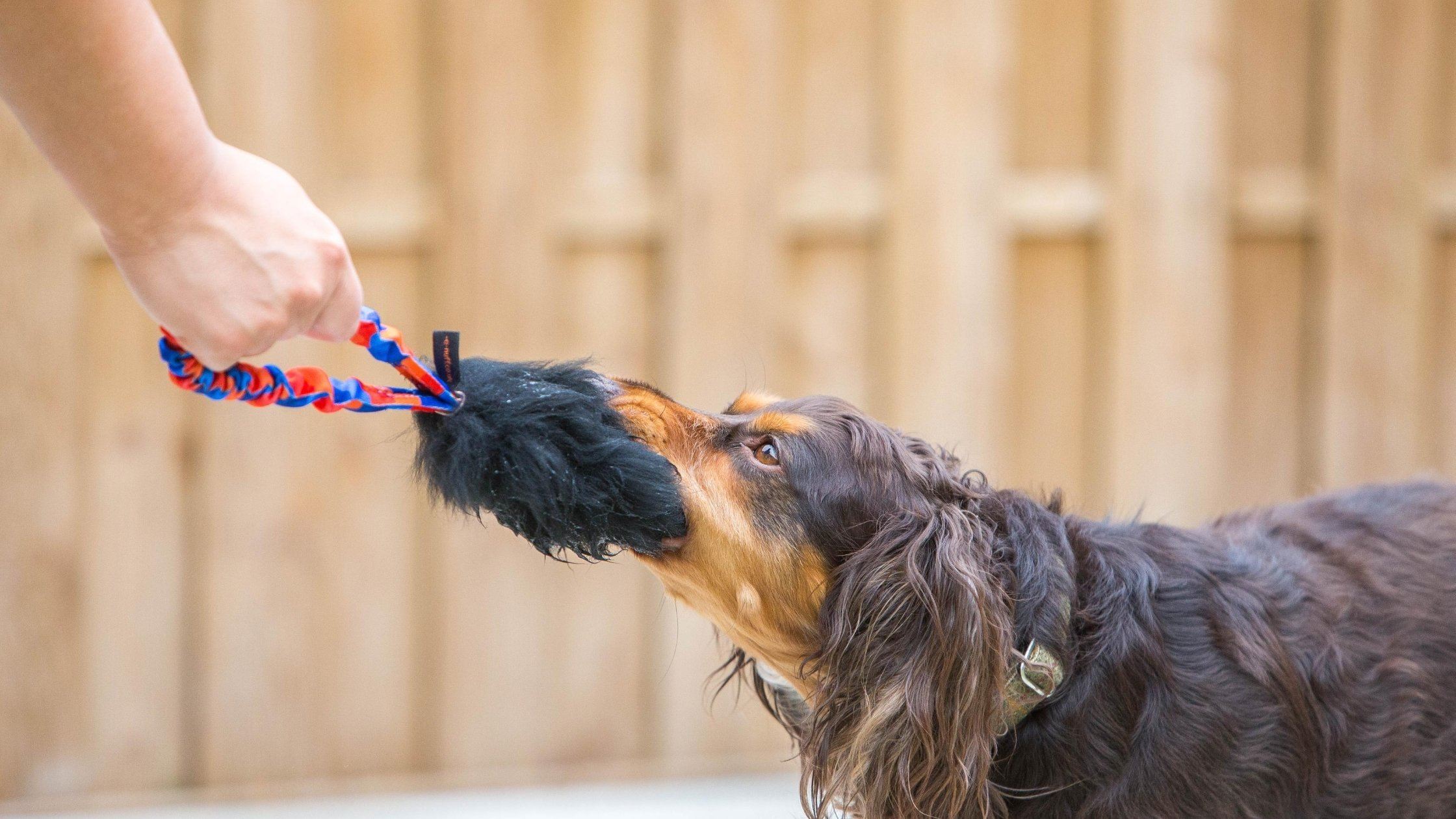 3 Fun Ways To Use The Pocket Magnet – Tug-E-Nuff