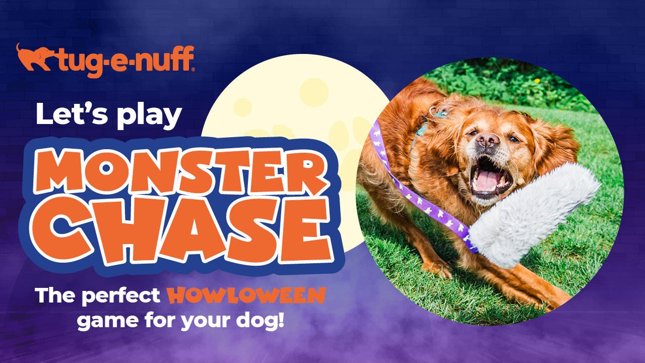 🧟 Monster Chase 🧟 – Tug-E-Nuff